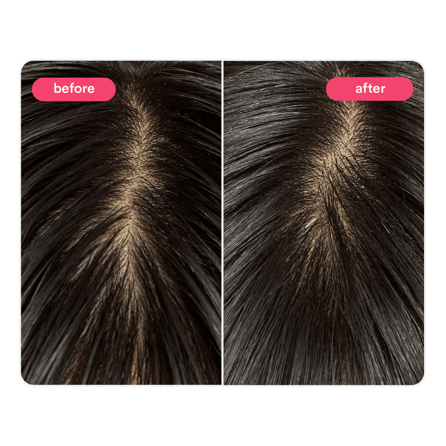 dry shampoo powder | verb® products