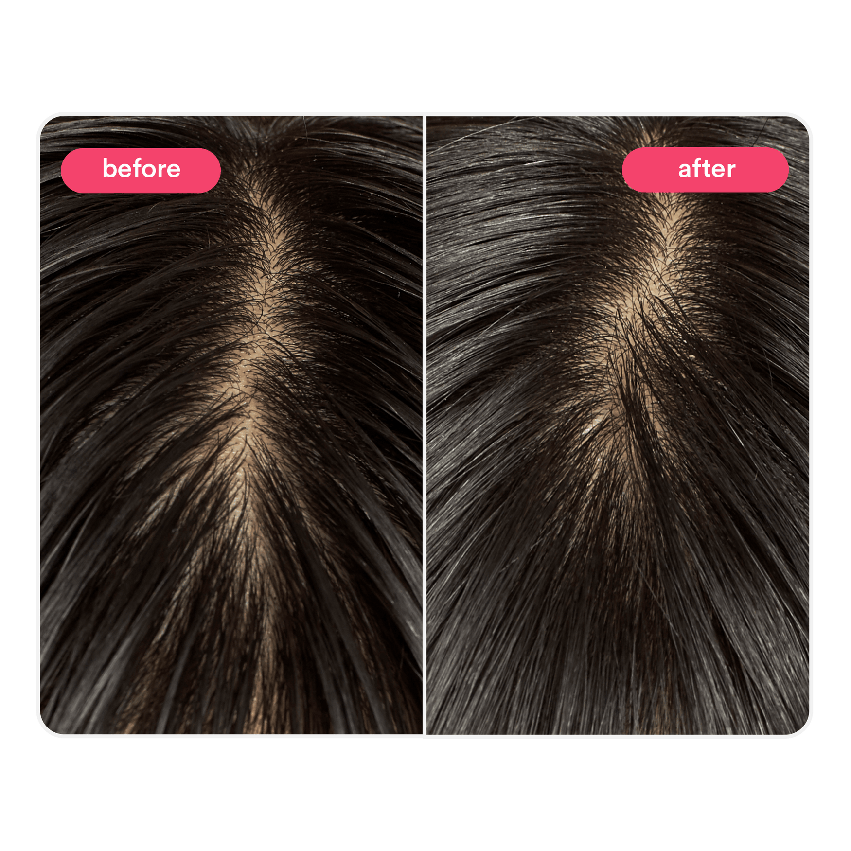dry shampoo powder | verb® products