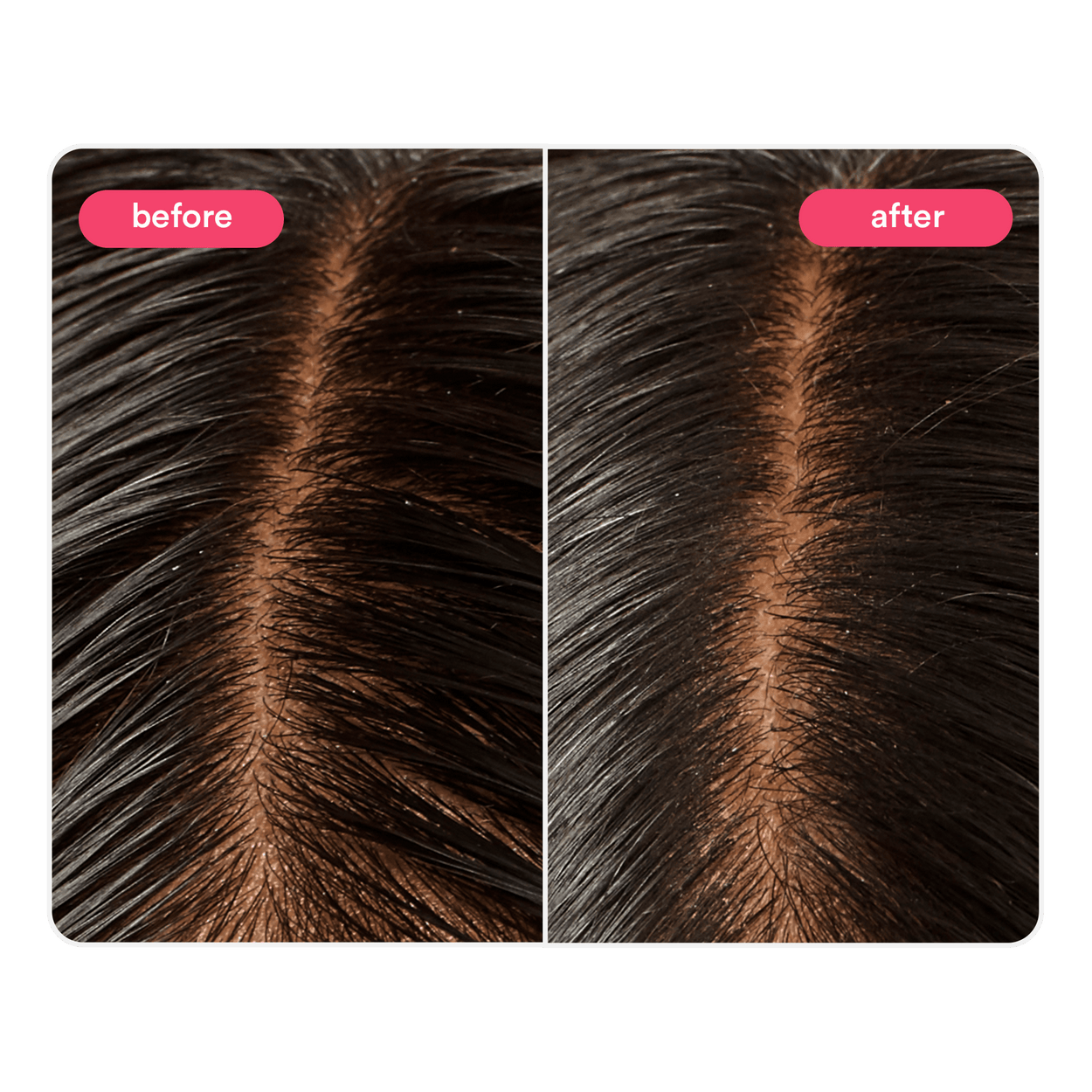 dry shampoo powder | verb® products