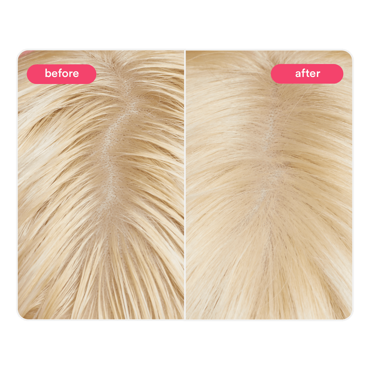 dry shampoo powder | verb® products