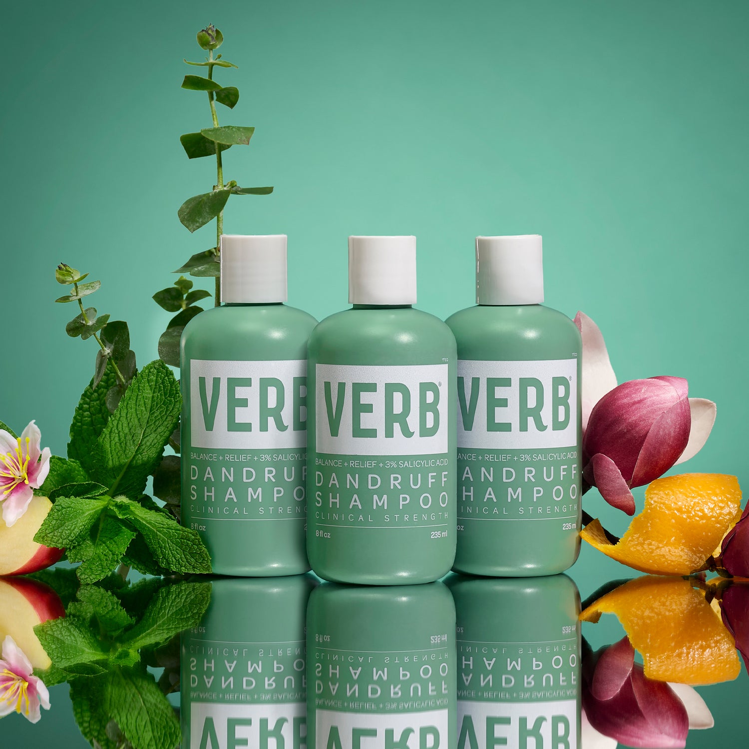 dandruff shampoo | color safe + sulfate free | verb® products